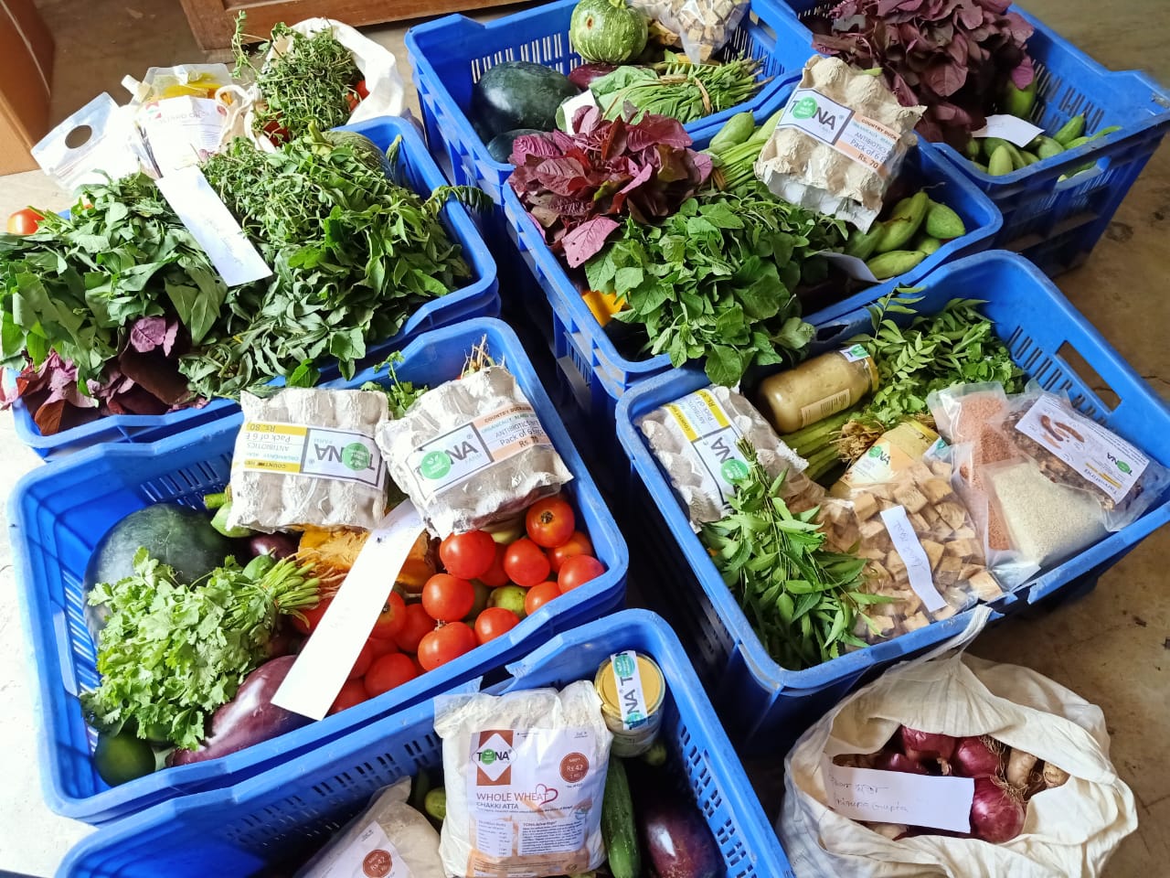 Gallery – Organic Food – Farming | TONA