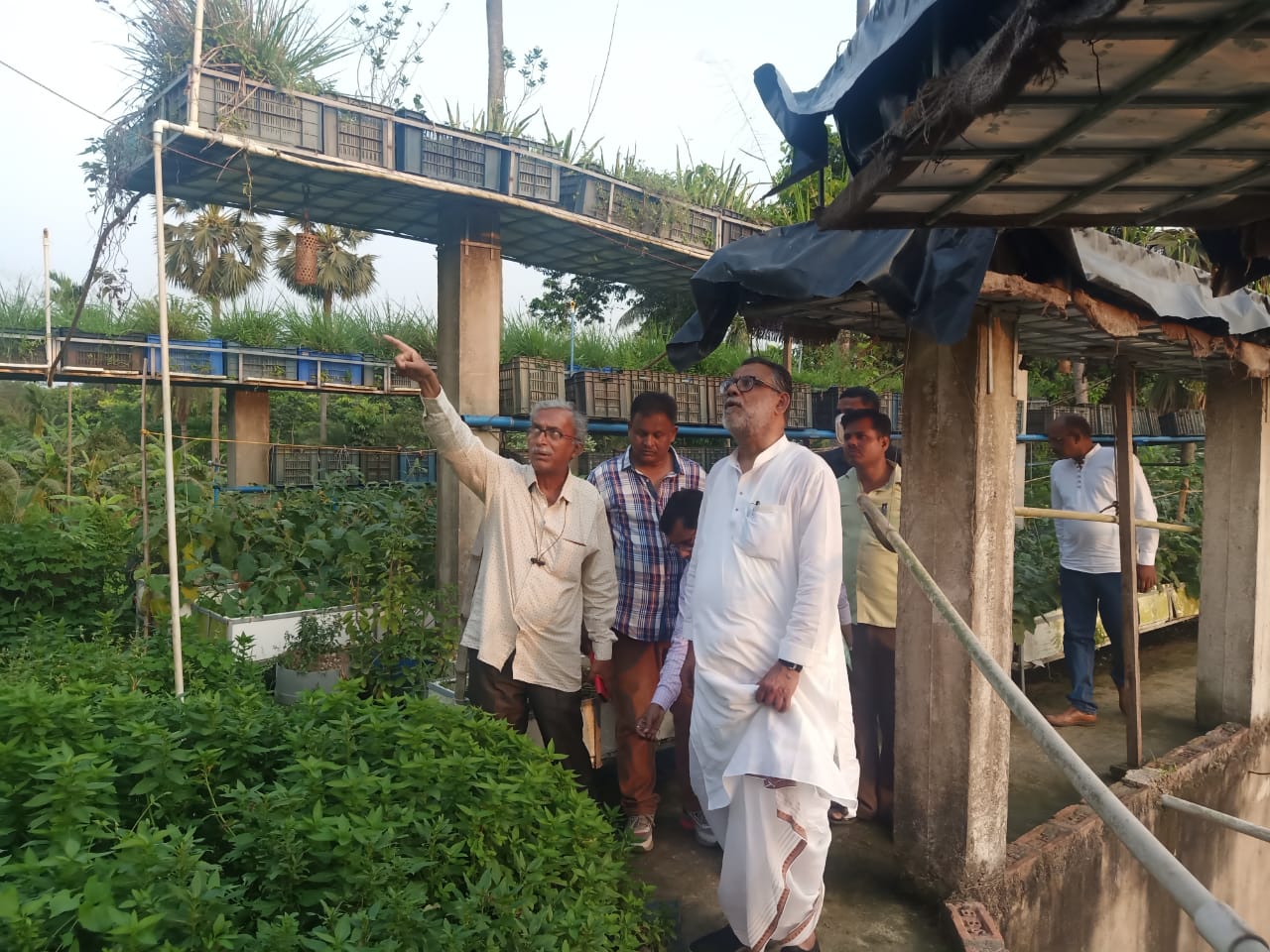 Gallery – Organic Food – Farming | TONA