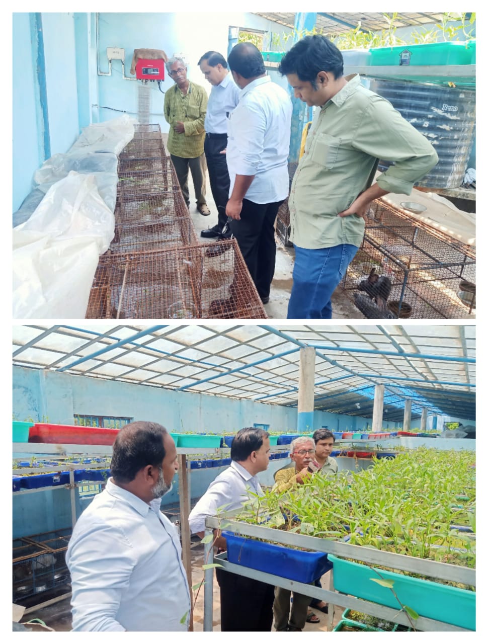 Gallery – Organic Food – Farming | TONA