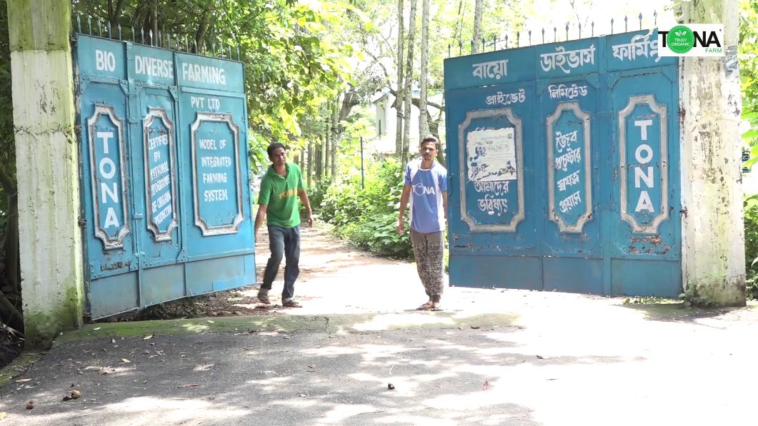 Gallery – Organic Food – Farming | TONA