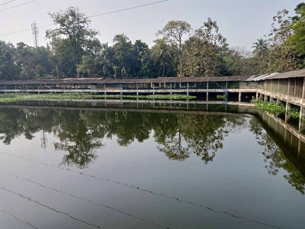 Gallery – Organic Food – Farming | TONA