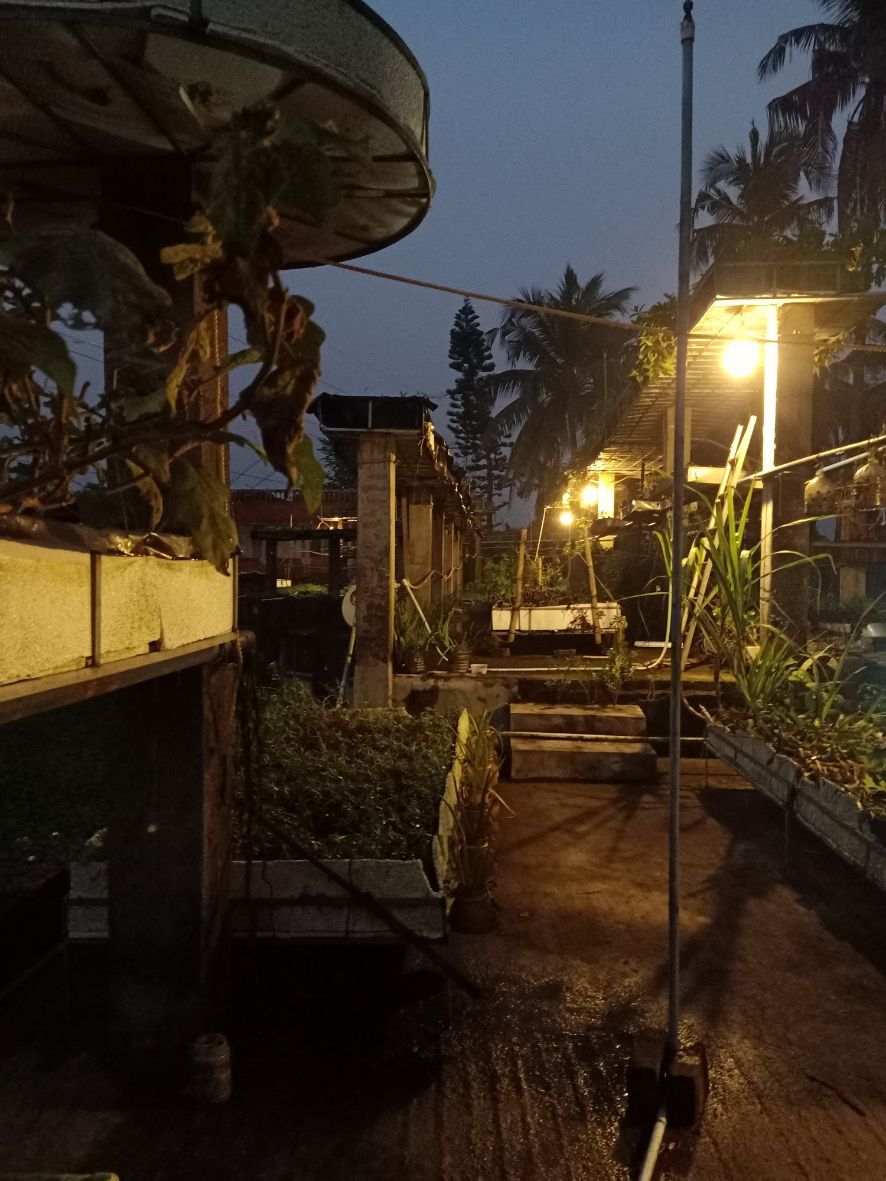 Gallery – Organic Food – Farming | TONA